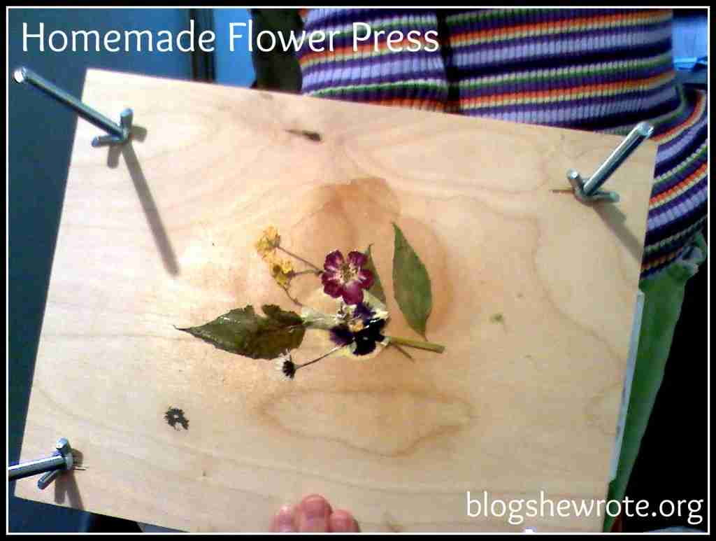 Adventures with Flowers {Pressing & Identification} - Blog, She Wrote