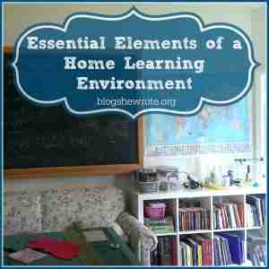 Essential Elements of a Home Learning Environment - Blog, She Wrote