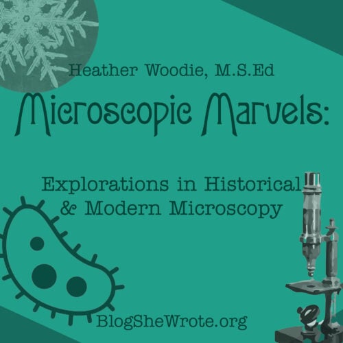 The Beginner's Guide to Microscopic Life in a Pond - Blog, She Wrote