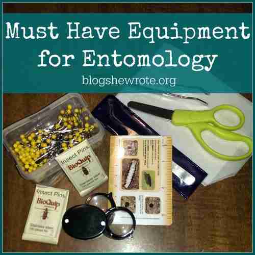 Must Have Equipment for Entomology - Blog, She Wrote
