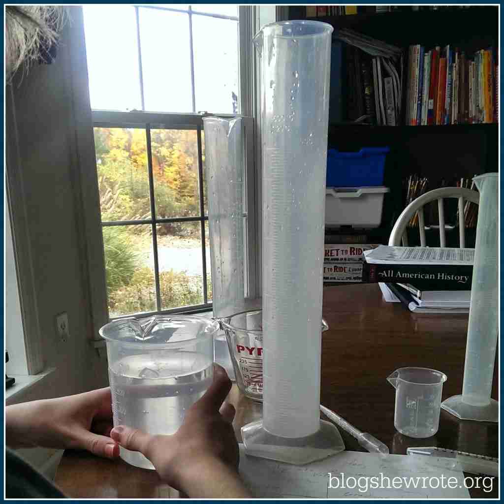 Comparing the Accuracy of Liquid Measurement Tools - Blog, She Wrote