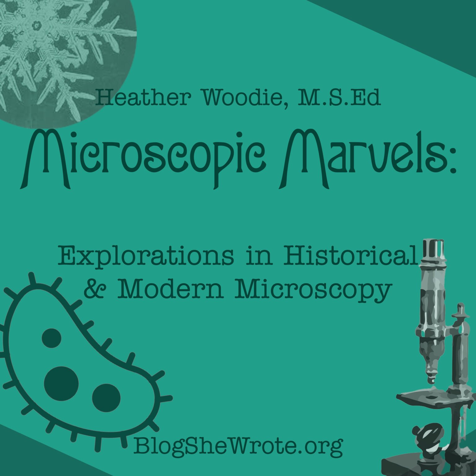 How to Observe Onion Cells under a Microscope - Blog, She Wrote