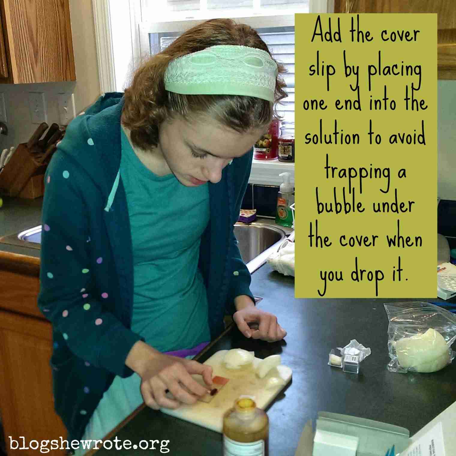 How to Observe Onion Cells under a Microscope - Blog, She Wrote