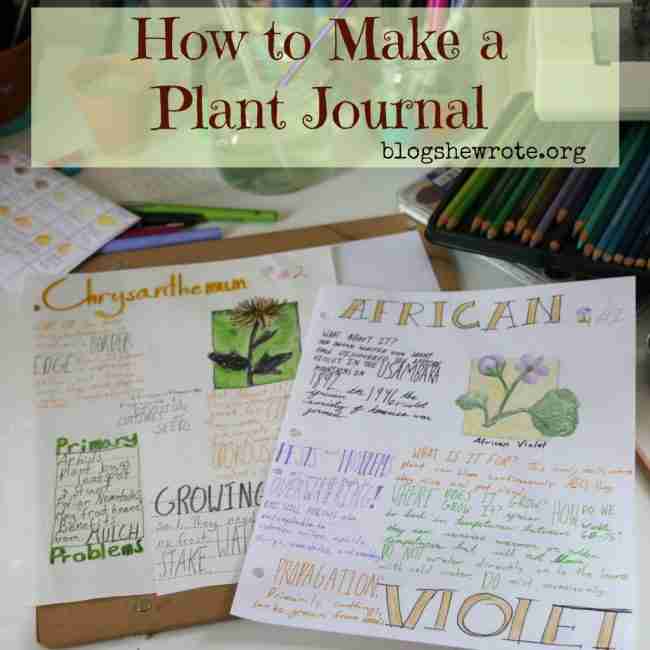 How to Make a Plant Journal - Blog, She Wrote