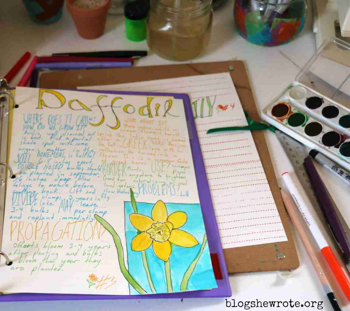 How to Make a Plant Journal - Blog, She Wrote
