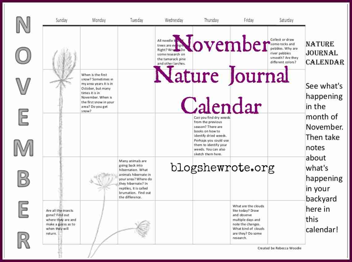 November Nature Journal Calendar - Blog, She Wrote