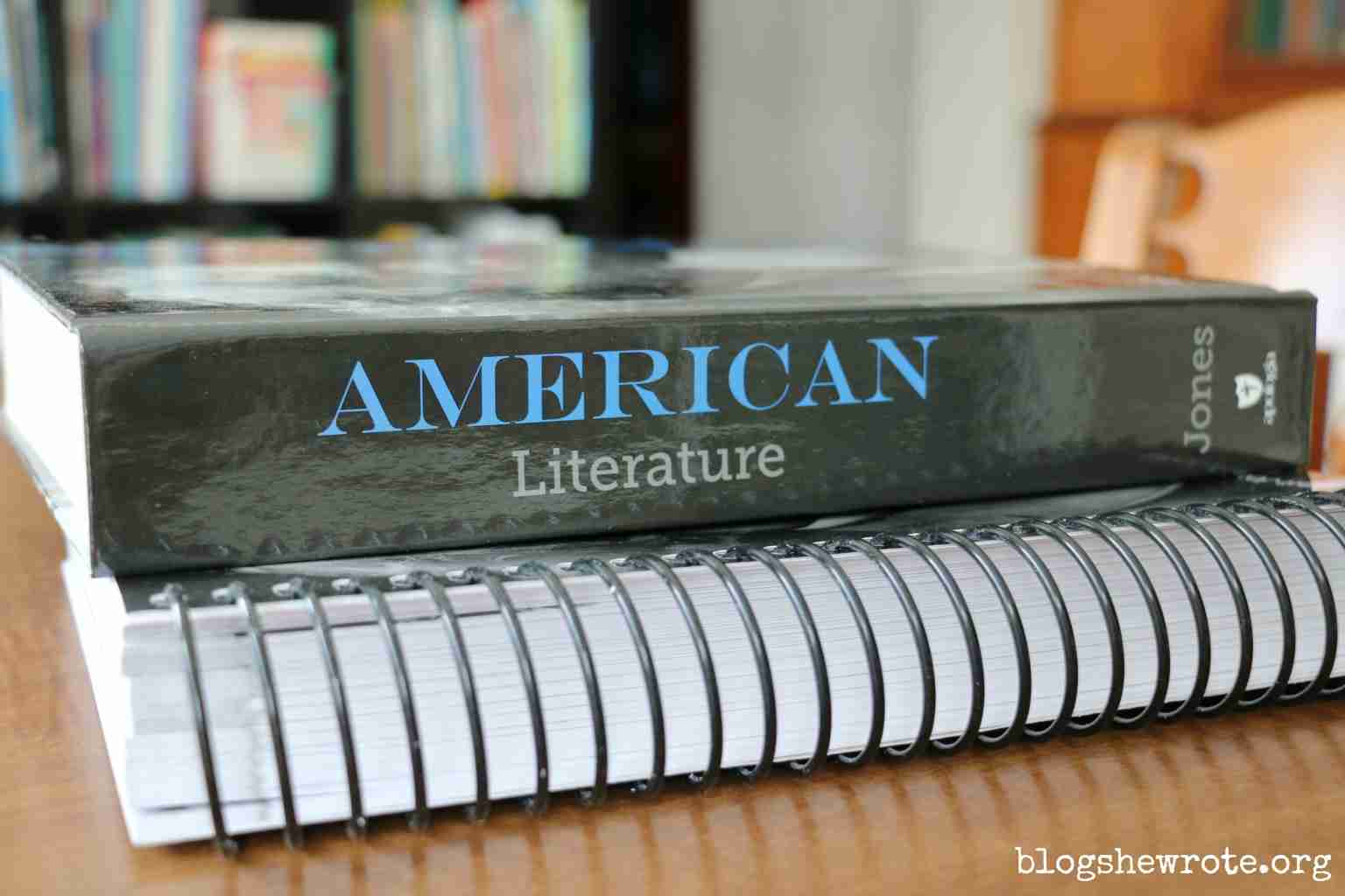 How to Study American Literature with U.S. History - Blog, She Wrote