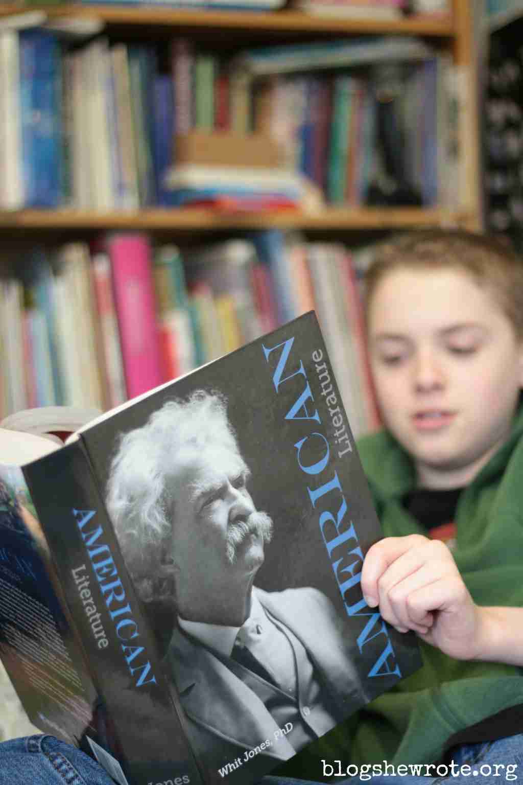 How to Study American Literature with U.S. History - Blog, She Wrote