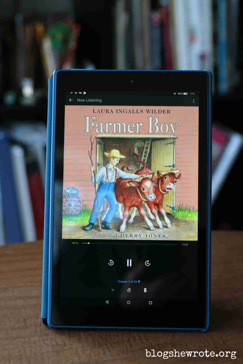 Have an Audio Book Collection You'll Love - Blog, She Wrote