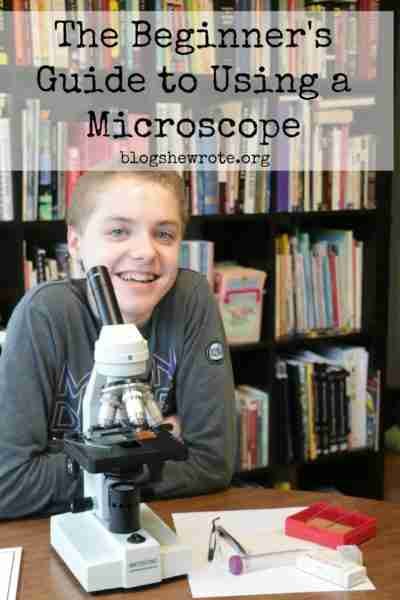 The Beginner's Guide to Using a Microscope - Blog, She Wrote