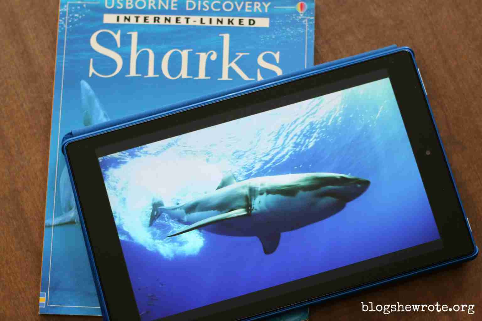 100 Awesome Educational Videos for Homeschooling High School - Blog ...