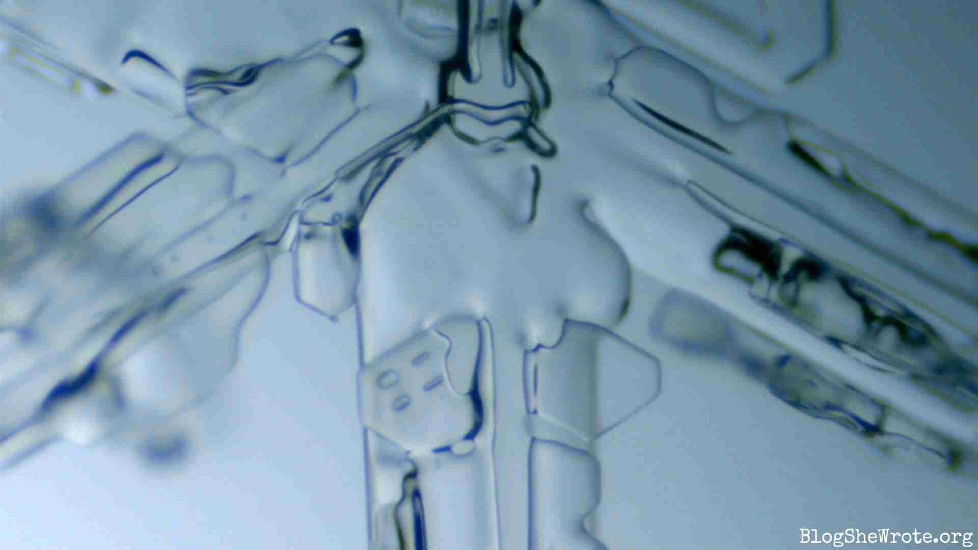How to Capture & View Snowflakes under a Microscope - Blog, She Wrote