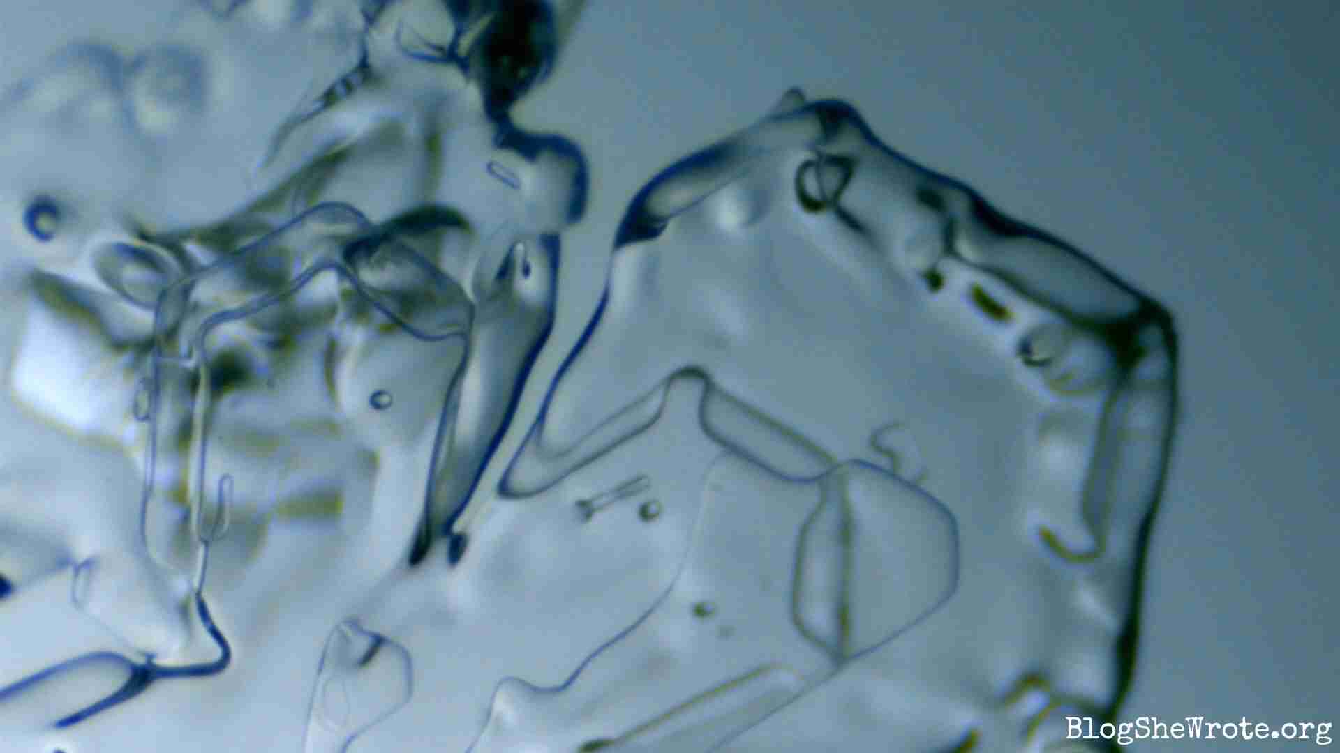 How to Capture & View Snowflakes under a Microscope - Blog, She Wrote