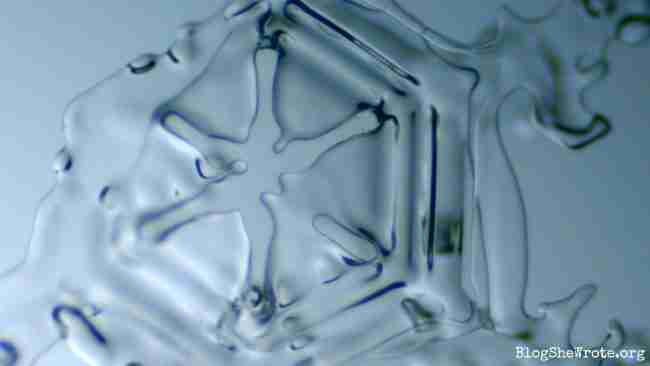 How to Capture & View Snowflakes under a Microscope - Blog, She Wrote
