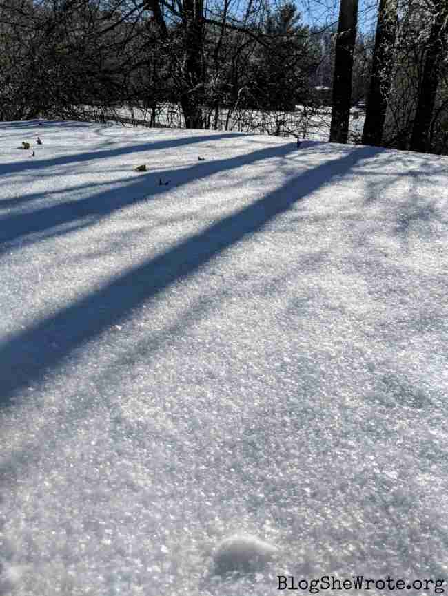 How to Capture & View Snowflakes under a Microscope - Blog, She Wrote