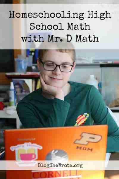 Homeschooling High School Math with Mr. D Math - Blog, She Wrote