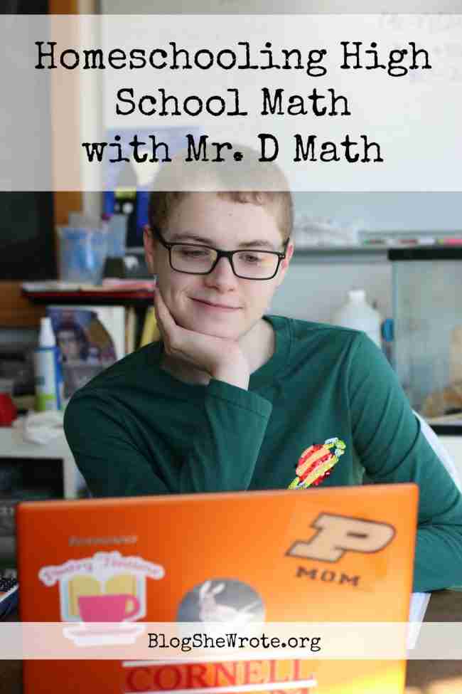 Homeschooling High School Math with Mr. D Math - Blog, She Wrote