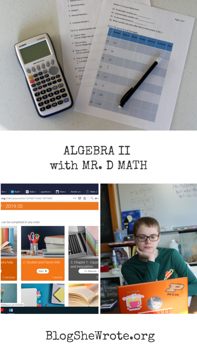 Homeschooling High School Math with Mr. D Math - Blog, She Wrote