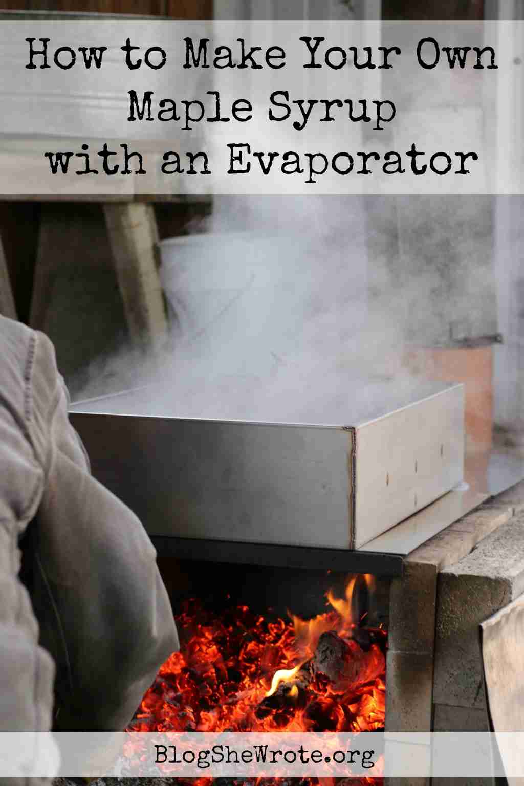 How to Make Your Own Maple Syrup with an Evaporator - Blog, She Wrote
