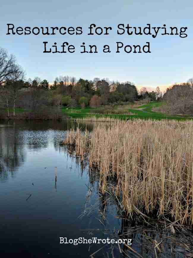 Resources for Studying Life in a Pond - Blog, She Wrote