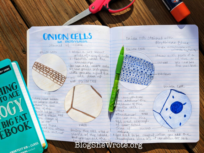 The Big List of Awesome Living Books for Homeschooling Science - Blog ...