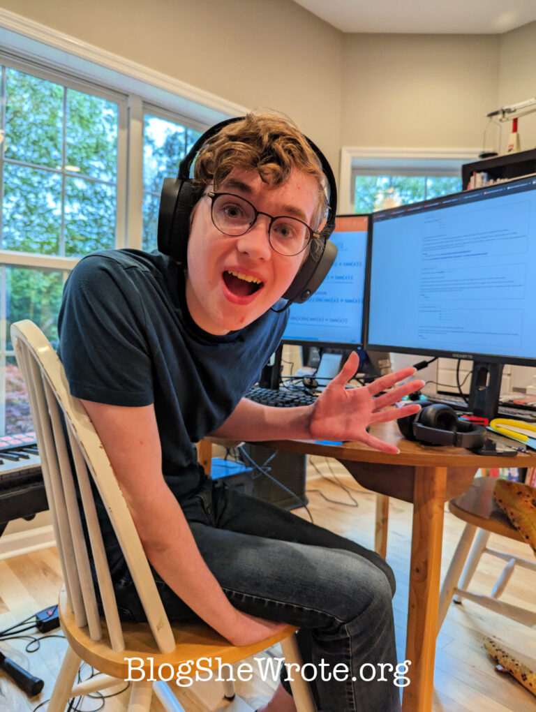 Homeschooling High School Self-Paced Calculus with Mr.D Math - Blog ...